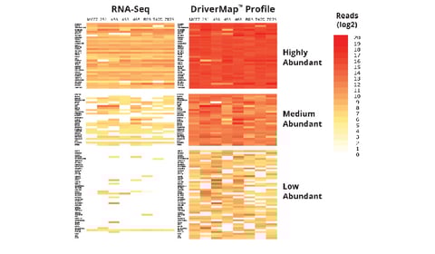 Microsampling Blog | Neoteryx | Omics, Multi-Omics
