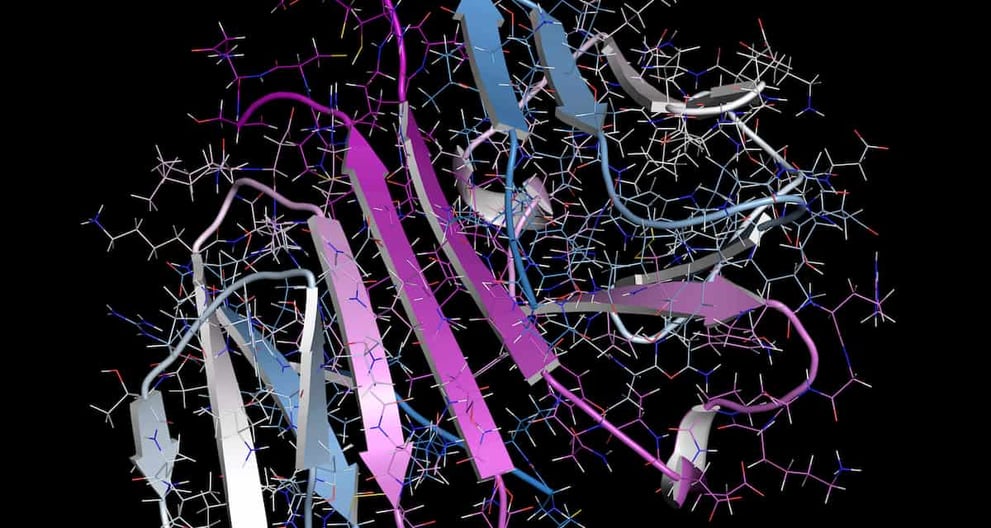 Maximize Workflow with CHRONECT Training | Automation Solutions